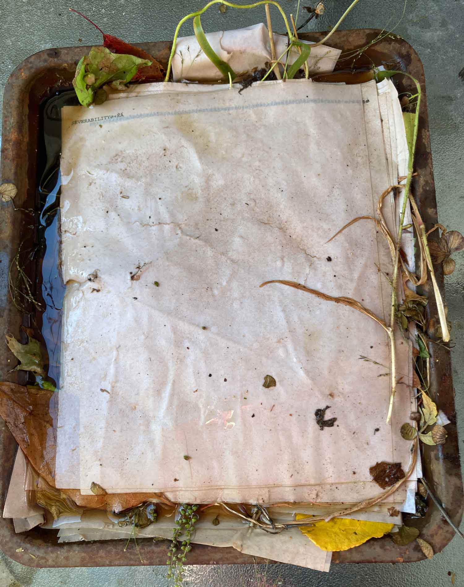 How to Tea & Coffee Dye Papers and Leaves - Artjournalist