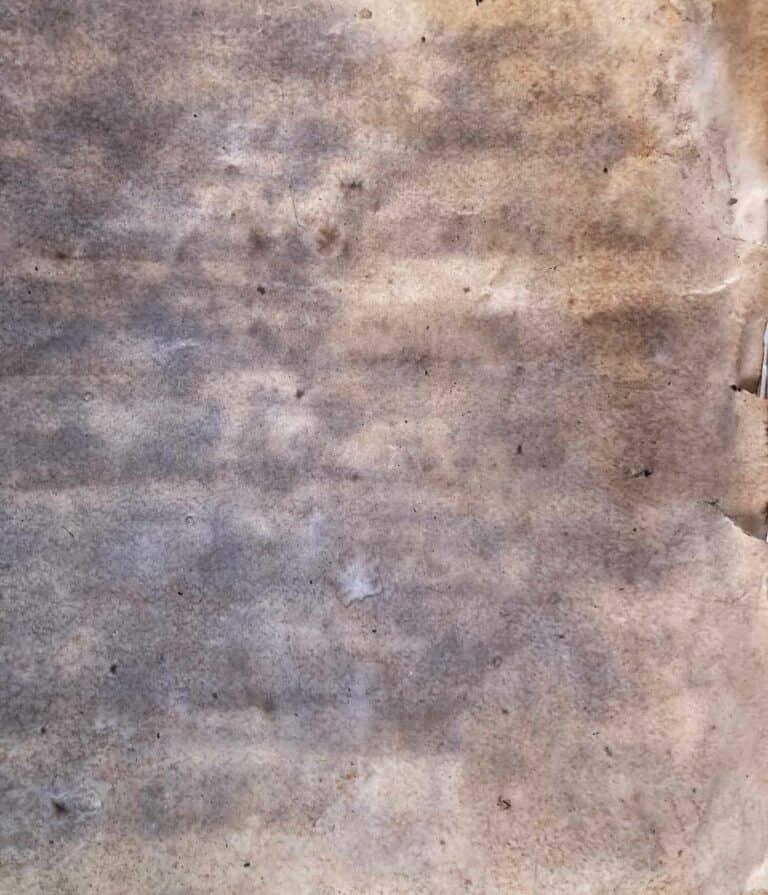 How to Tea & Coffee Dye Papers and Leaves - Artjournalist